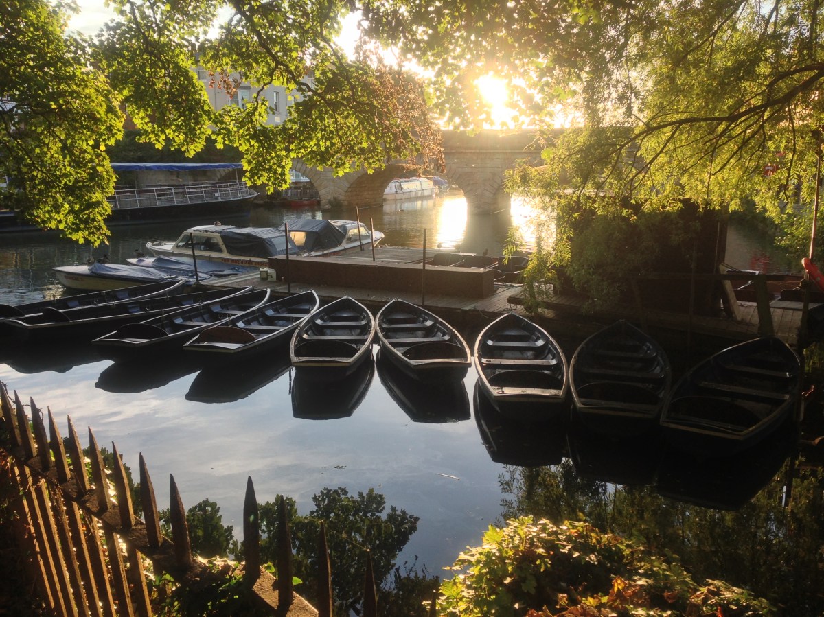 Wellness Workshops – AcademEase